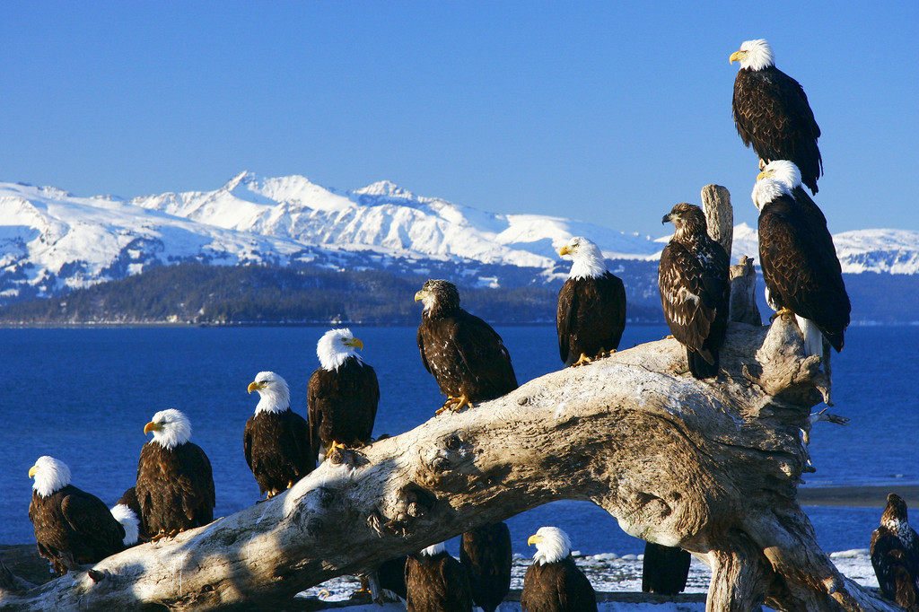 Razones por las que tienes que hacer un viaje a Alaska antes de los 30