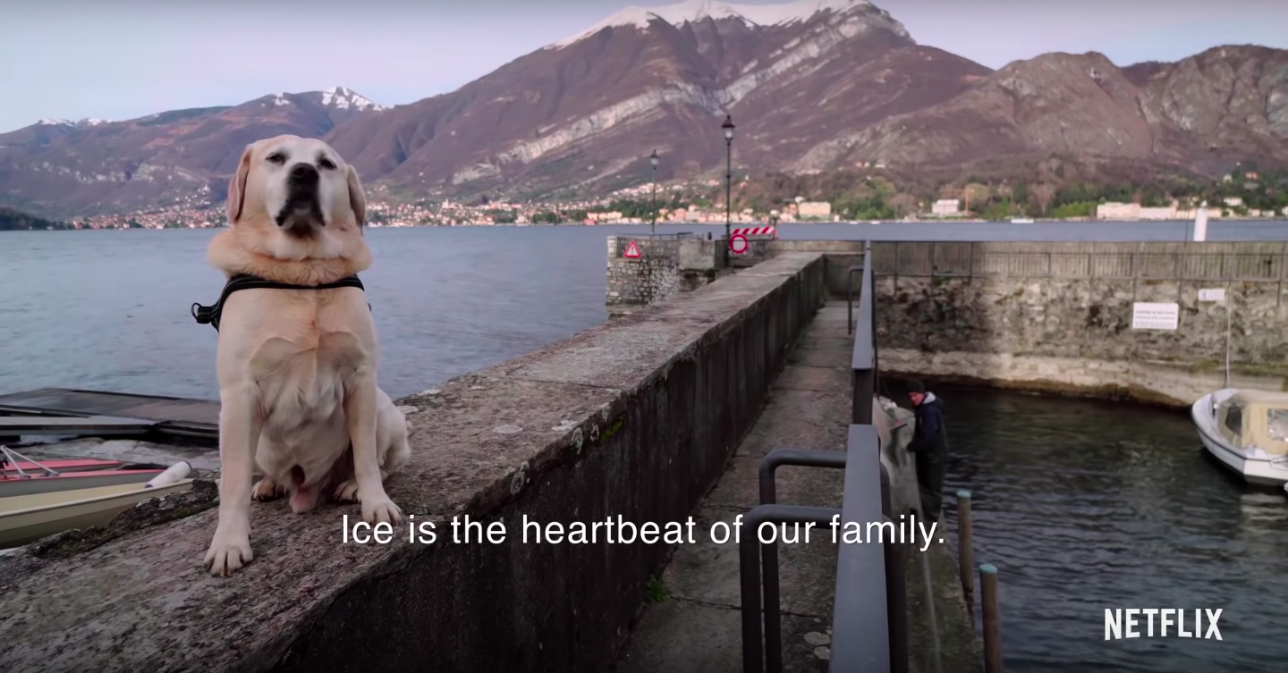 Mira el primer avance de 'Dogs', la nueva docuserie de Netflix