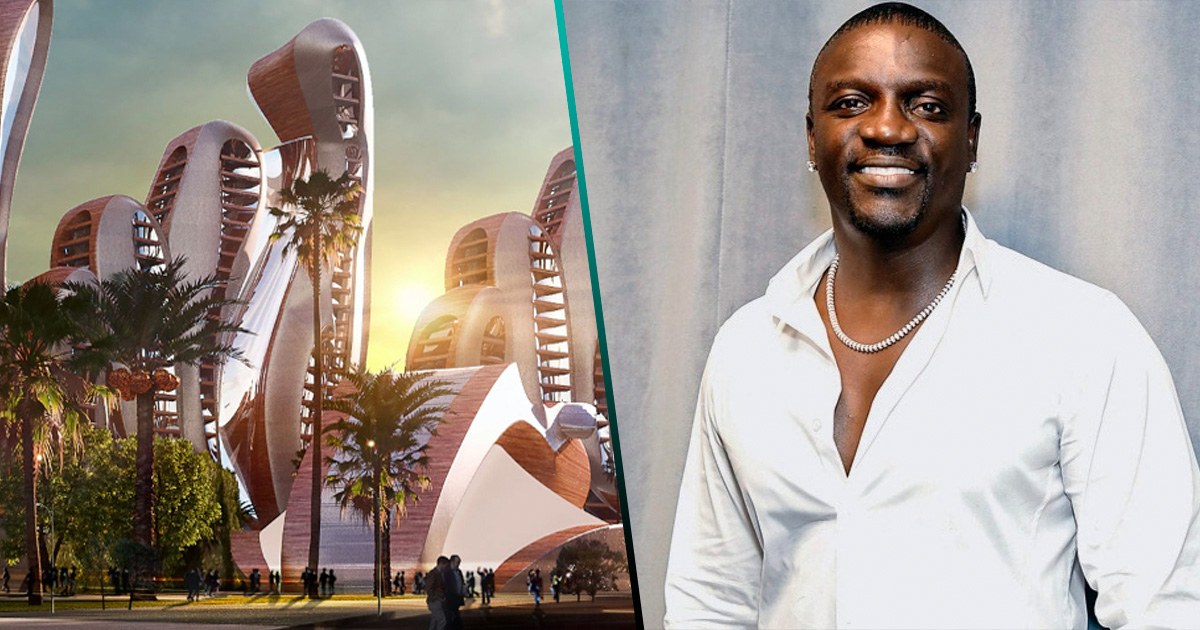 Presentan proyecto para crear un Wakanda real en África con $6 billones ...